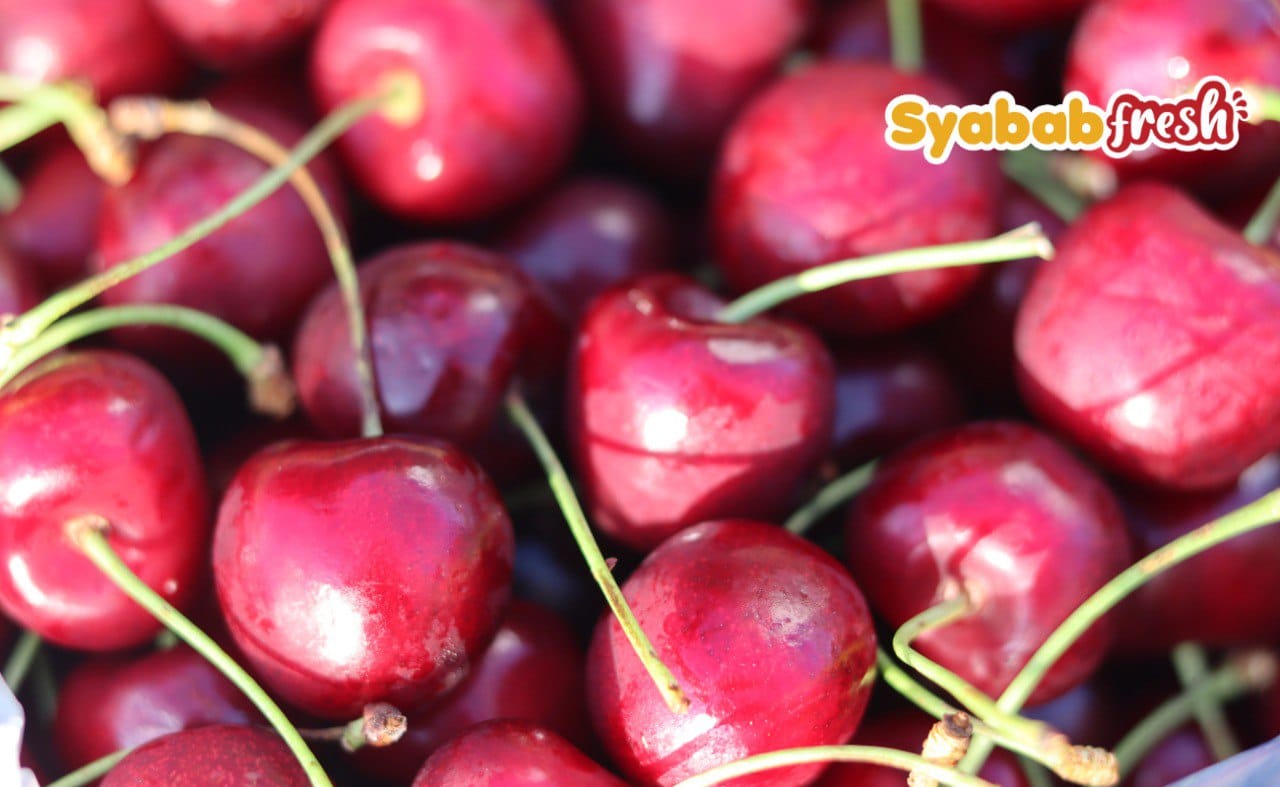 Cherry Canada – Syabab Fresh SC